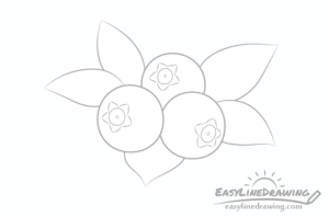 How to Draw Blueberries Step by Step - EasyLineDrawing