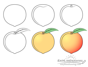 How to Draw a Peach Step by Step - EasyLineDrawing