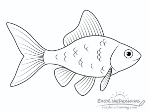 How to Draw a Goldfish Step by Step - EasyLineDrawing