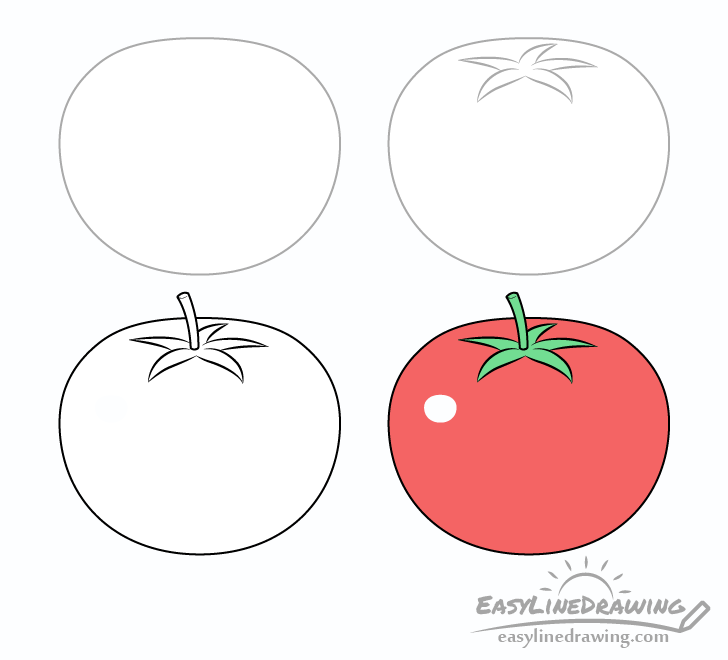 How To Draw A Tomato Step By Step EasyLineDrawing