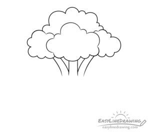 How to Draw Broccoli Step by Step - EasyLineDrawing
