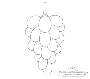 How to Draw Grapes Step by Step - EasyLineDrawing