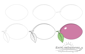 How to Draw a Plum Step by Step - EasyLineDrawing