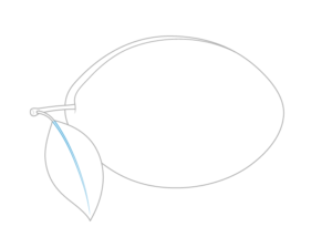 How to Draw a Plum Step by Step - EasyLineDrawing