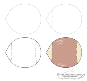How to Draw a Hazelnut Step by Step - EasyLineDrawing