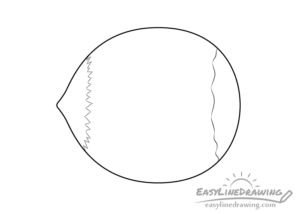 How to Draw a Hazelnut Step by Step - EasyLineDrawing