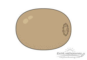 How to Draw a Kiwi Step by Step - EasyLineDrawing