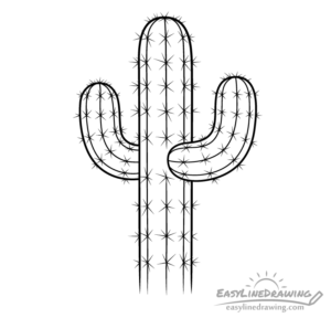 How to Draw a Cactus Step by Step - EasyLineDrawing
