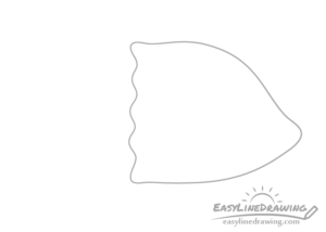 How to Draw Shells Step by Step - EasyLineDrawing