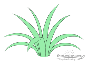 How to Draw Grass Step by Step - EasyLineDrawing