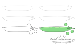 How to Draw Green Peas Step by Step - EasyLineDrawing
