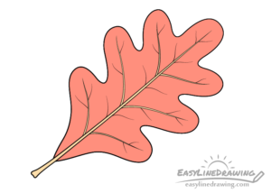 How to Draw an Oak Leaf Step by Step - EasyLineDrawing