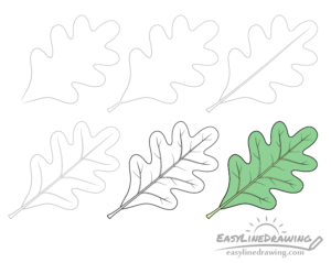 How to Draw an Oak Leaf Step by Step - EasyLineDrawing
