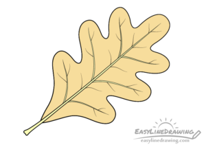 How to Draw an Oak Leaf Step by Step - EasyLineDrawing