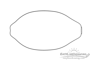 How to Draw a Papaya Step by Step - EasyLineDrawing
