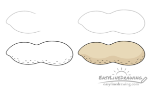 How to Draw a Peanut Step by Step - EasyLineDrawing