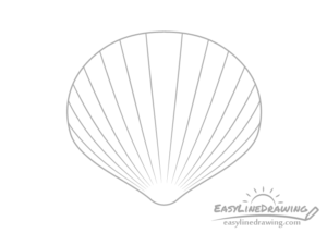How to Draw Shells Step by Step - EasyLineDrawing