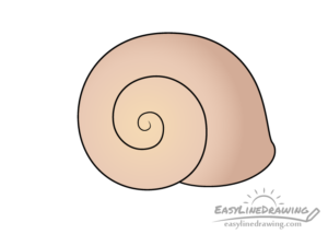 How to Draw Shells Step by Step - EasyLineDrawing