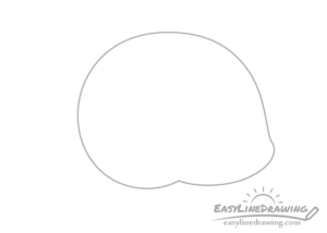 How to Draw Shells Step by Step - EasyLineDrawing