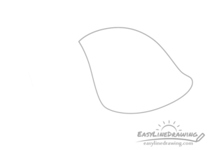How to Draw Shells Step by Step - EasyLineDrawing