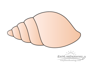 How to Draw Shells Step by Step - EasyLineDrawing