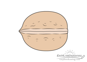 How to Draw a Walnut Step by Step - EasyLineDrawing