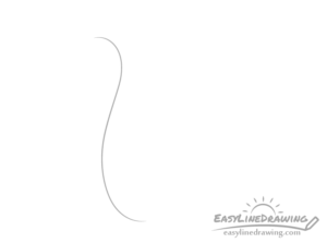 How to Draw a Scroll Step by Step - EasyLineDrawing