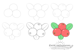 How to Draw Cranberries Step by Step - EasyLineDrawing