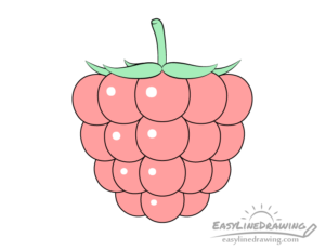 How to Draw a Raspberry Step by Step - EasyLineDrawing
