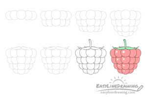 How to Draw a Raspberry Step by Step - EasyLineDrawing