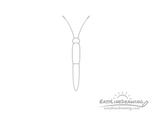 How to Draw a Butterfly Step by Step - EasyLineDrawing