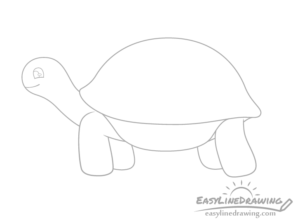 How to Draw a Tortoise Step by Step - EasyLineDrawing