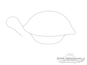 How to Draw a Tortoise Step by Step - EasyLineDrawing