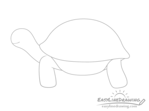 How to Draw a Tortoise Step by Step - EasyLineDrawing