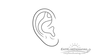 How to Draw an Ear Step by Step (Easy) - EasyLineDrawing