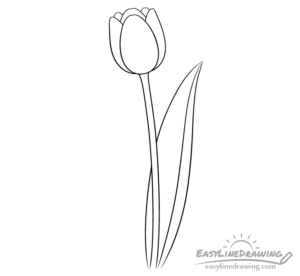 How to Draw a Tulip Step by Step - EasyLineDrawing