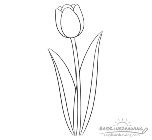 How to Draw a Tulip Step by Step - EasyLineDrawing